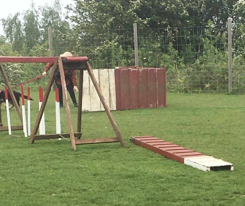 Dylis’s weekend to remember! – Dylan's Welshie World